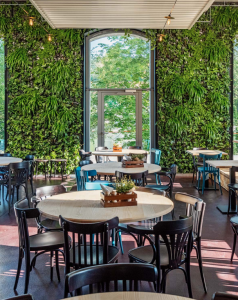 Cafe Furniture Selection Guide: Style, Comfort, and Cohesiveness